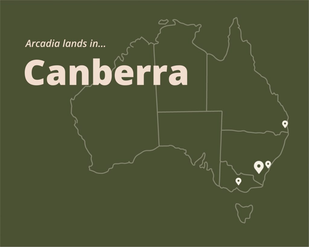 Arcadia Landscape Architecture Recreating the High Street Retail ...