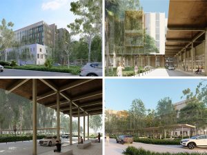 Arcadia Landscape Architecture Arcadia wins Redcliffe Hospital ...